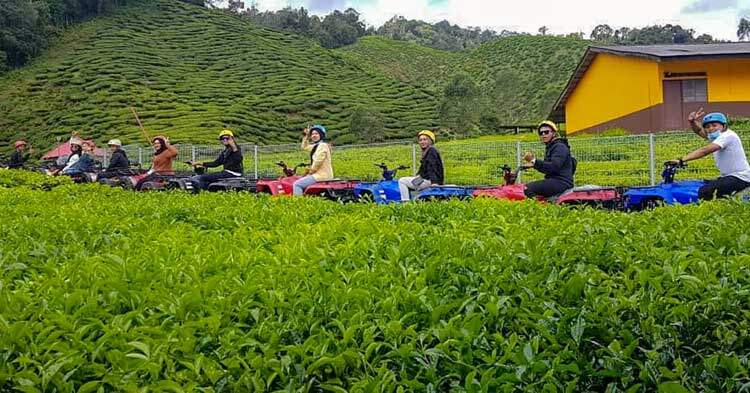 Bercuti Di Cameron Highlands: 10 Tempat Paling Popular Tumpuan ...