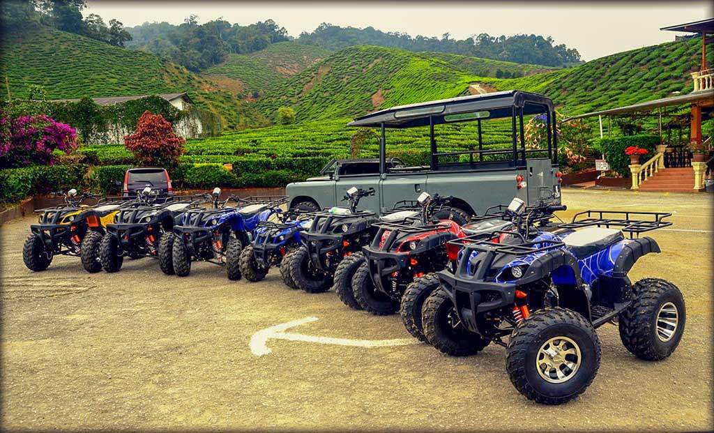 Bercuti Di Cameron Highlands: 10 Tempat Paling Popular Tumpuan ...