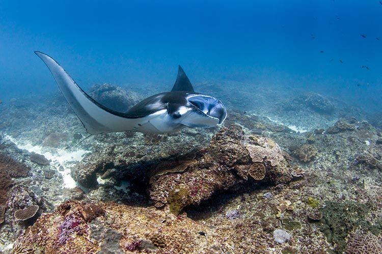 11 Tempat Menarik Di Labuan Bajo Indonesia Eksotik (2026) | Melancong.my