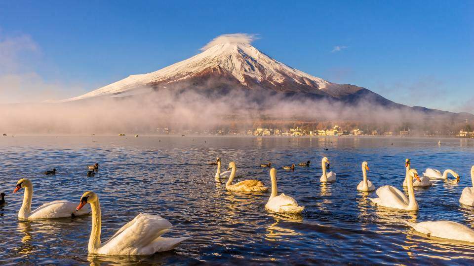 Gunung Fuji: Keunikan Percutian Ke Fuji Dan Destinasi Popular Di Tokyo ...