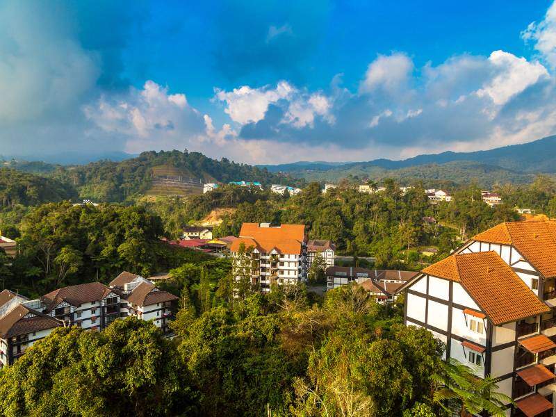 Cameron Highland: Panduan Lengkap Pengangkutan, Penginapan, Makanan ...